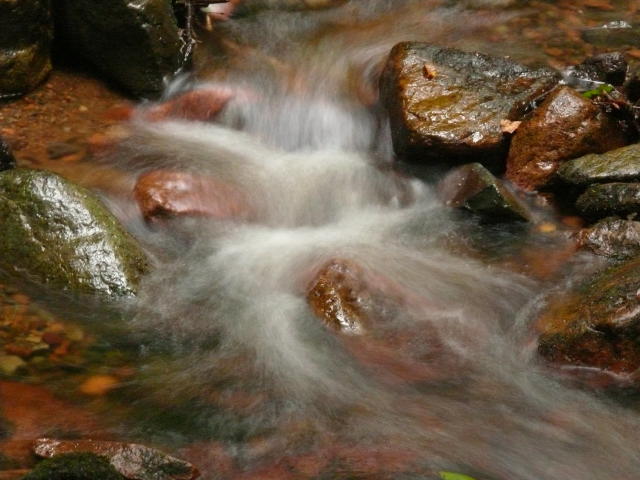 Elizabeth’s Photographs, Tom’s Watercolours | Deep River Library Arts ...