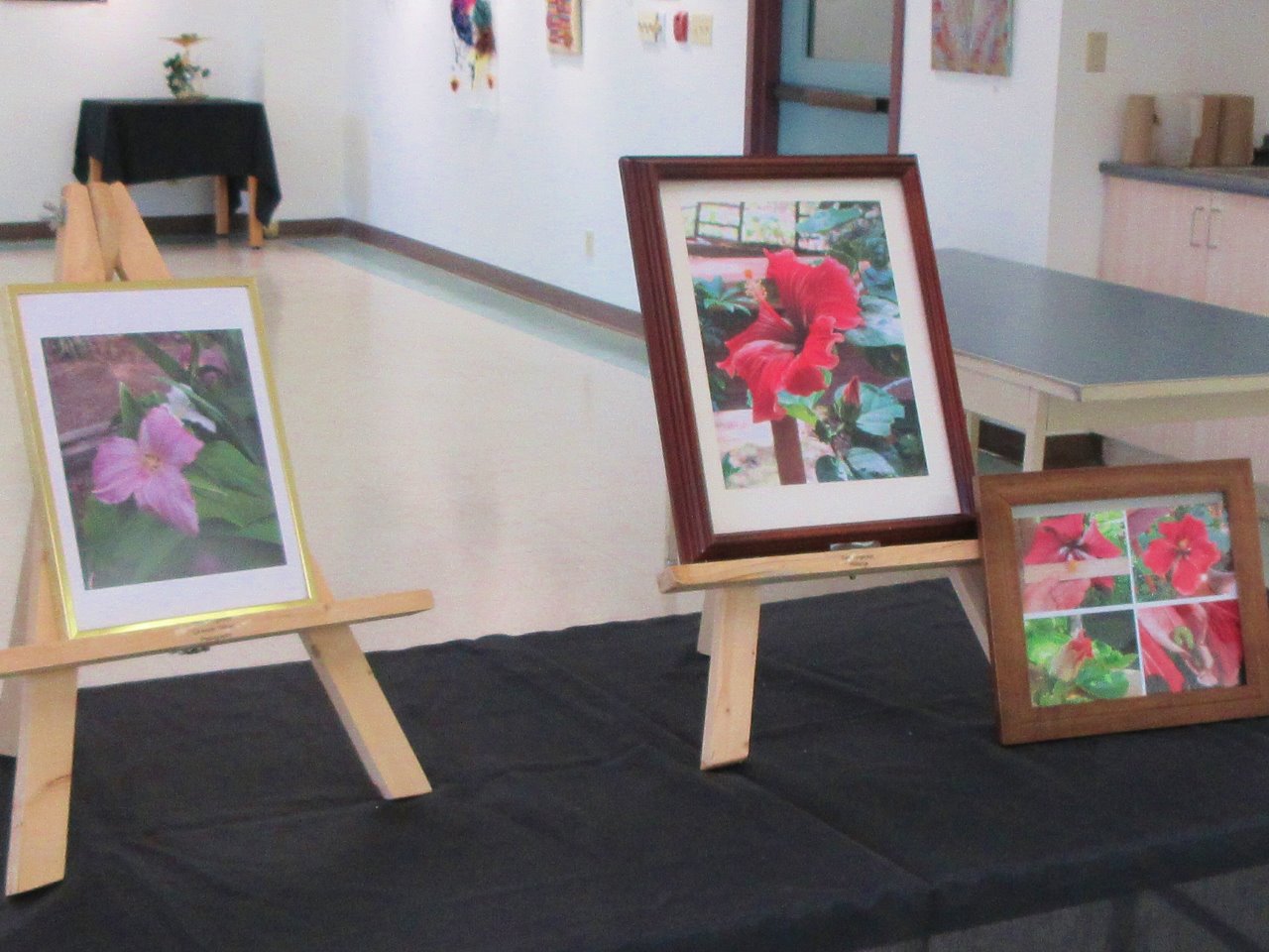 Art 2017 | Deep River Library Arts Committee