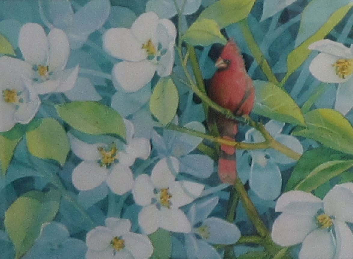 Marilyn Mercer | Deep River Library Arts Committee