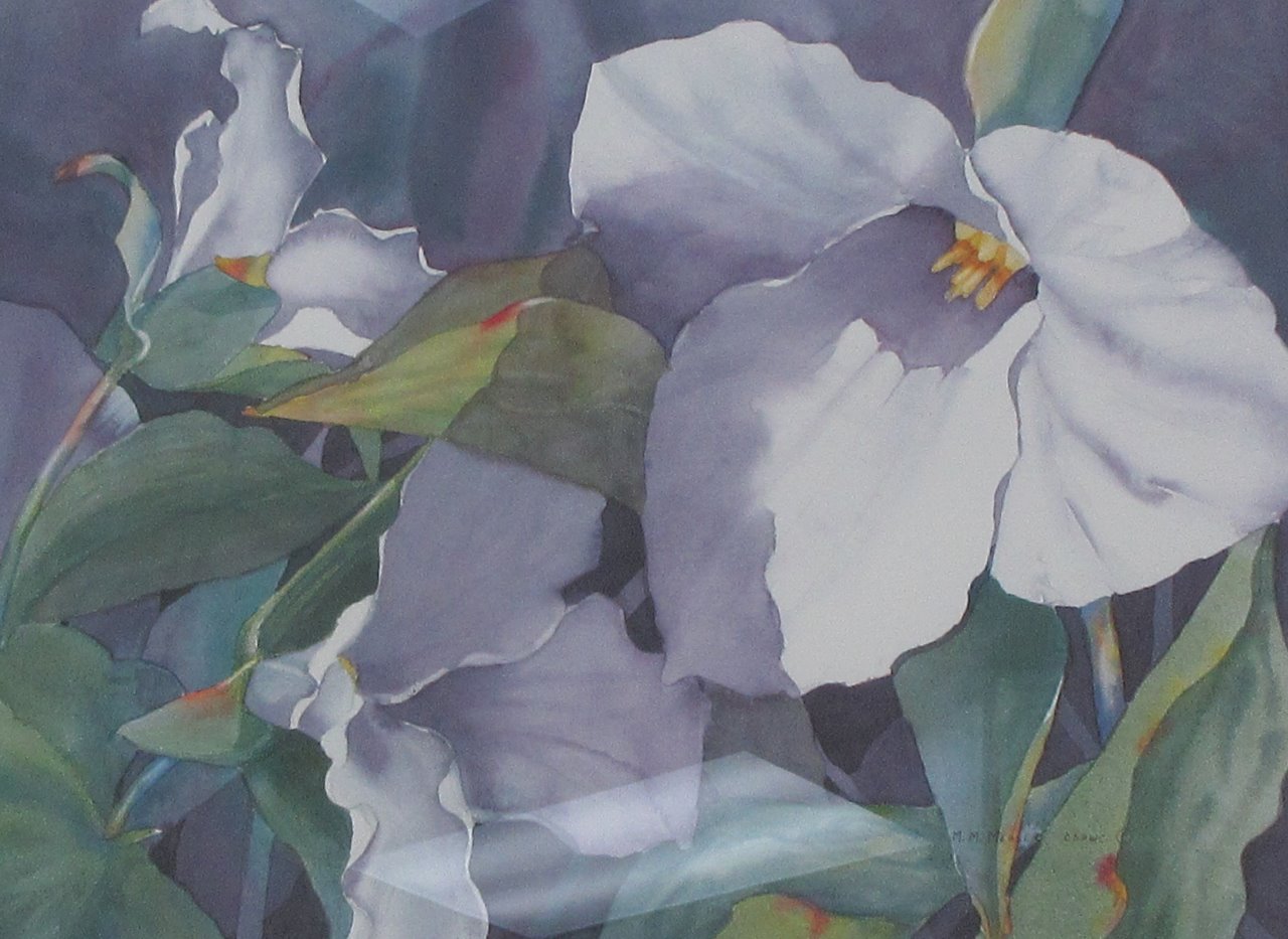 Marilyn Mercer | Deep River Library Arts Committee