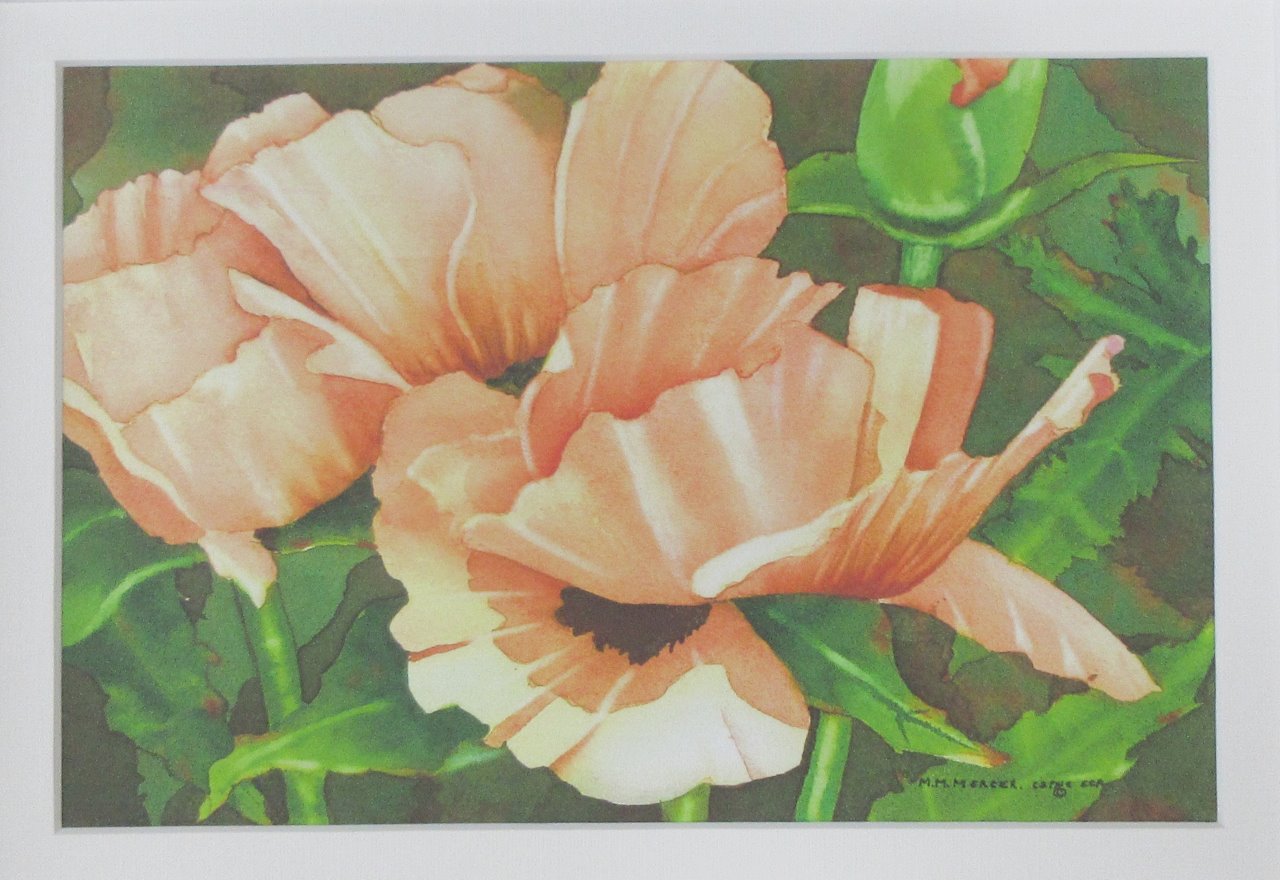 Marilyn Mercer | Deep River Library Arts Committee