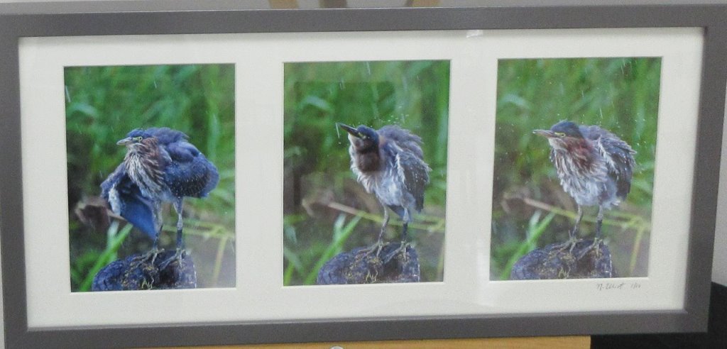 ART 2019 | Deep River Library Arts Committee